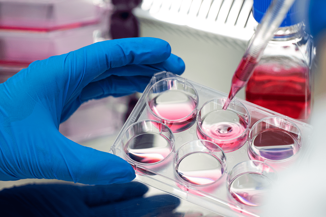 Primary Human Cells