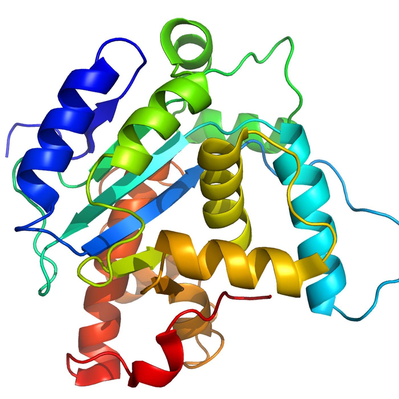 Protein Purification and Other Contamination Detection ELISA