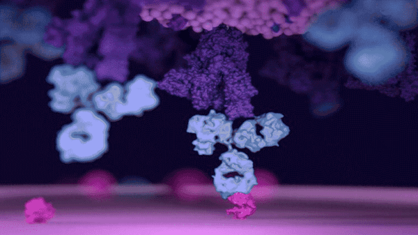 Host Cell Protein ELISA | Streamline Downstream Processing and ...