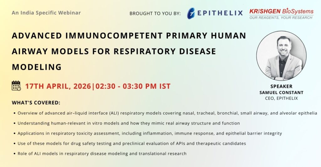 ReadyCell Barrier Models: Predicting Human Drug Absorption In Vitro